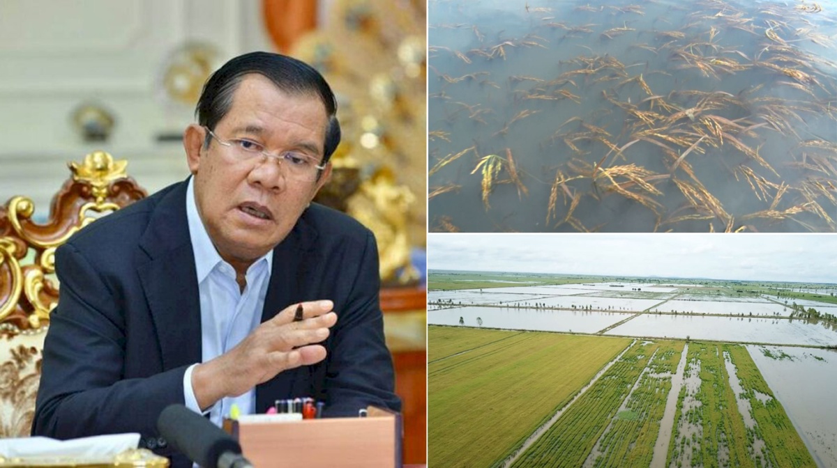 BTV NEWS Home - BTV News